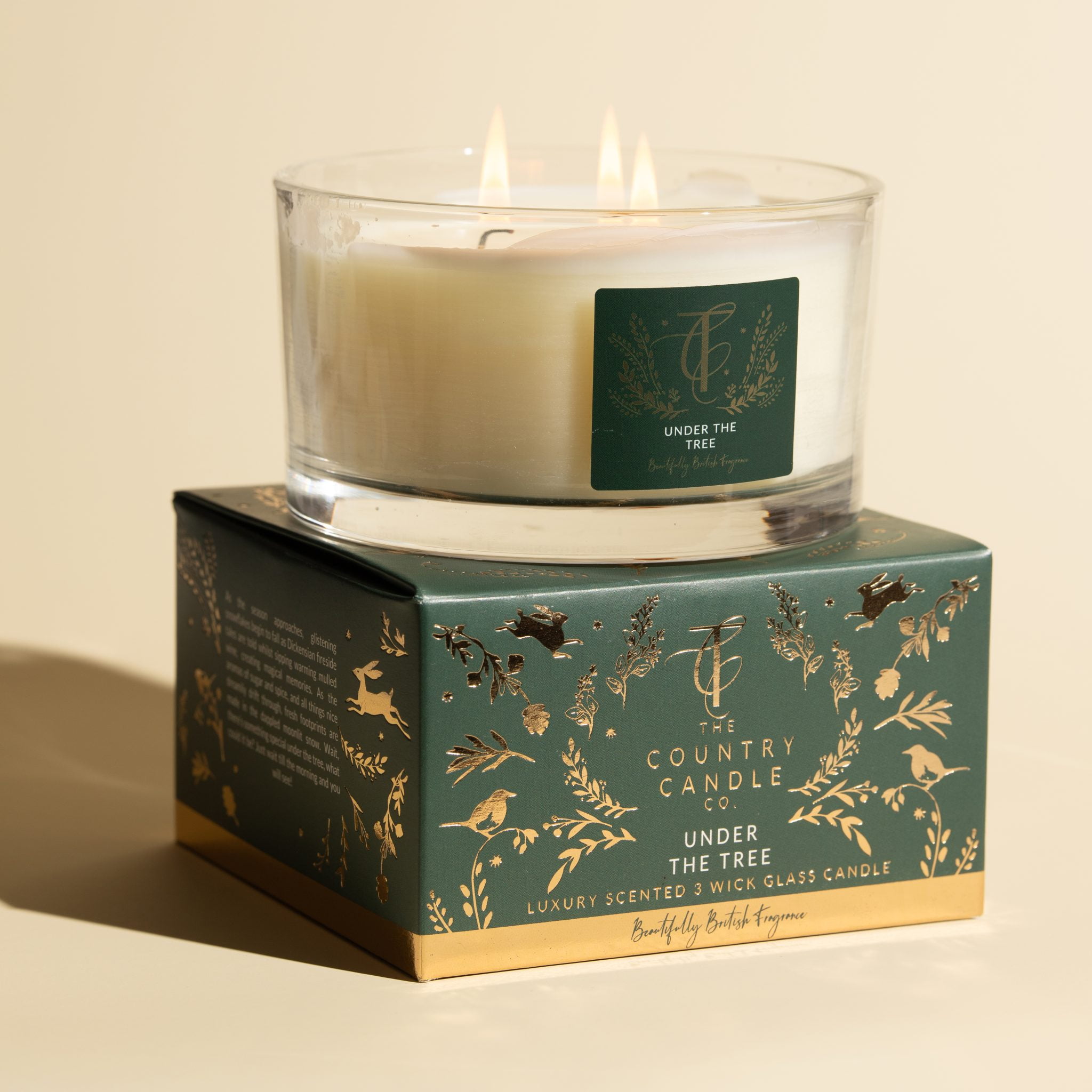 MULTI-WICK CANDLES Archives - The Country Candle Co.